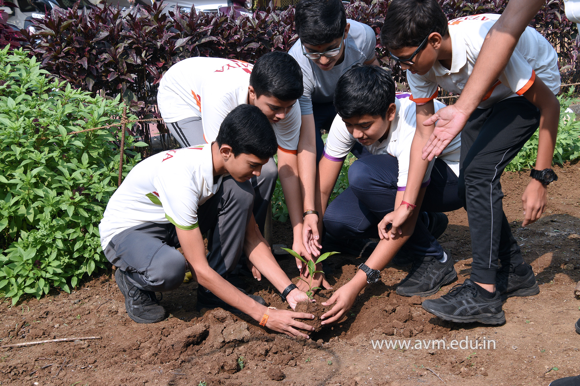 (CBSE SEWA) Tree Plantation by Class 7 Students - Atmiya Vidya Mandir