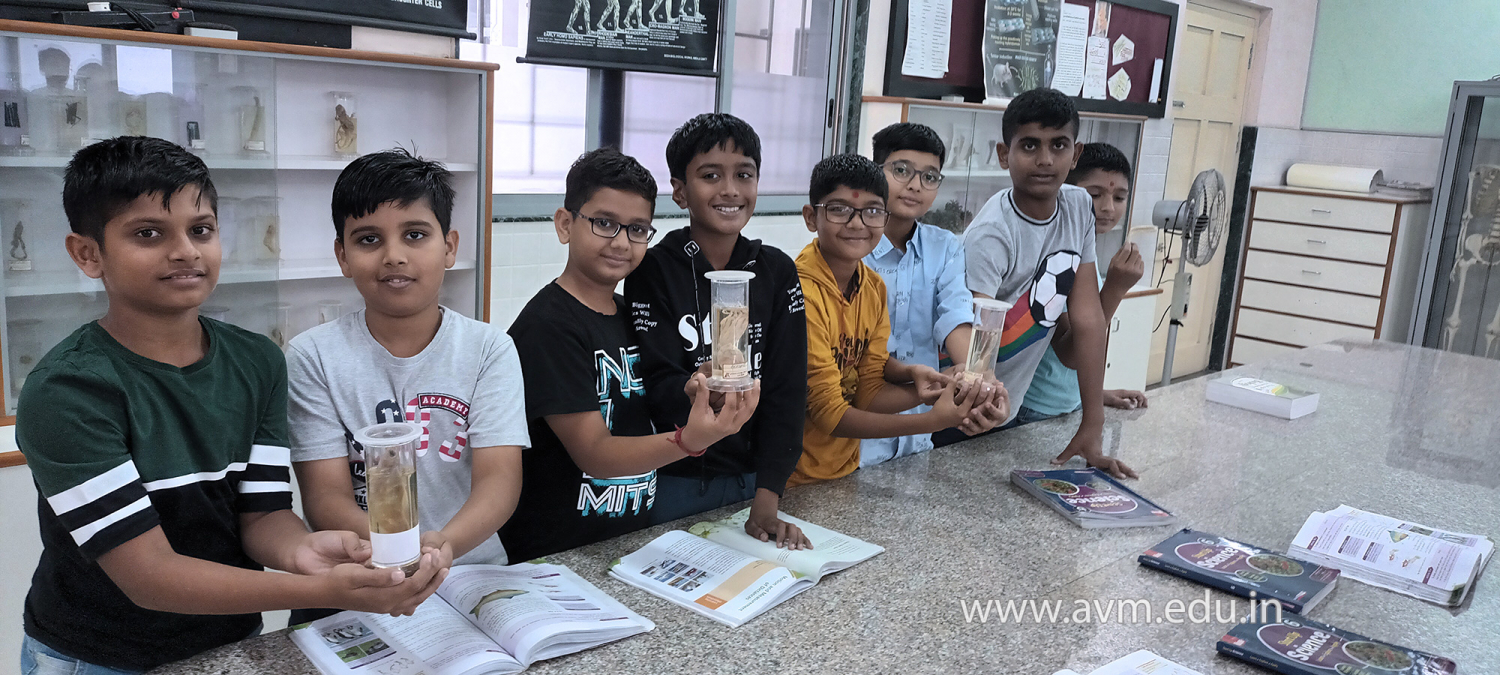 Std 6 Science Lab Activity - Atmiya Vidya Mandir
